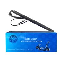 China Durable Power Lift Gate Strut 51247318652 For X6 F16 2015-2019 RH (1 PLUG) for sale