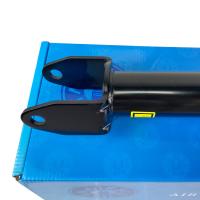 China Genuine OE 104436401f  Suspension Car Parts Fit For Tesla 3 Model Y Pneumatic Strut for sale