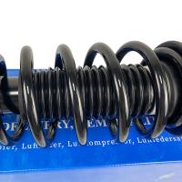 China Genuine OE 104436401f  Suspension Car Parts Fit For Tesla 3 Model Y Pneumatic Strut for sale