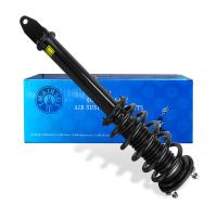 China Genuine OE 104436401f  Suspension Car Parts Fit For Tesla 3 Model Y Pneumatic Strut for sale