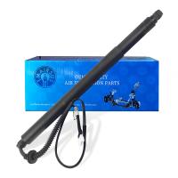 China Power Tailgate Lift Assist 51247318652 for X6 F16 2015-2019 RH (1 PLUG) for sale
