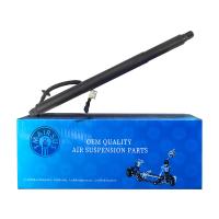China Back Tailgate Strut 51247318651 for BMW X6 F16 2015-2019 LH 1 plug for sale