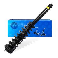 China Tesla Model S Durable Design Rear Coil Spring Shock  Absorber 1015620-00-C for sale