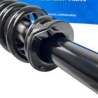 China Tesla Model S Durable Design Rear Coil Spring Shock  Absorber 1015620-00-C for sale