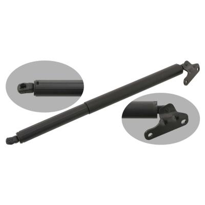 China Premium Black Power Lift Gate Opener 1669802164 for sale
