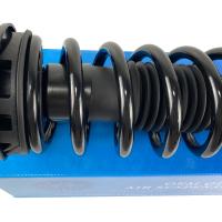 China Coil Spring Shock Absorber Front Left and Right 1015619-01-E for Tesla Model S RWD for sale