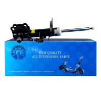 China Air Suspension Shock Absorber for Lincoln MKS MKT Front Left And Right EG9Z18124D EG9Z18124C for sale