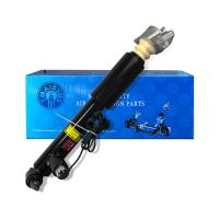 China A Pair Rear Left and Right Air Suspension Struts For Lincoln MKZ Ford Fusion HG9Z18125D for sale