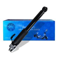 China Long-lasting Durable Cadillac ATS CTS 2013-2020 Rear Shock Absorber With ADS 84230453 for sale