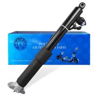 China Front Left And Right Air Suspension Shock ASH24591 for sale