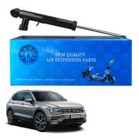 China 3C0513045D 3C0513046D High Durability Auto Shock Absorber For VW Passat CC Tiguan With EDC Suspension Strut Assembly for sale