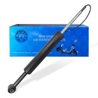 China Maserati Quattroporte Ghibli Rear Shock Absorber 06701054030 670033244 Air Strut for sale
