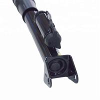 China 2513202231 2513200631  2513201931 Mercedes W251 Rear Shock Absorber With 18 Months Warranty for sale