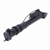 China 2513202231 2513200631  2513201931 Mercedes W251 Rear Shock Absorber With 18 Months Warranty for sale