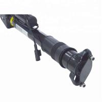 China 2513202231 2513200631  2513201931 Mercedes W251 Rear Shock Absorber With 18 Months Warranty for sale