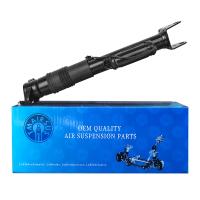 China 2513202231 Adjustable Mercedes-Benz Air Suspension W251/R300 Rear for sale