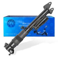 China 2513202231 Adjustable Mercedes-Benz Air Suspension W251/R300 Rear for sale
