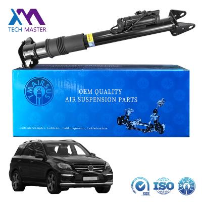 China A1643203031 GL166 ADS  Air Suspension Complete Rear 2011- for sale