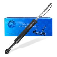 China 670037439 670159886 Airmatic Suspension Strut Maserati Levante Shock Absorber Kit  Rear Left And Right 2017- for sale