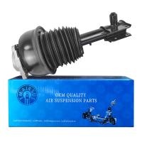 China Air Suspension Shock Absorber for W212 E-Class W218 C218 Cls-Class 4maitc 2123203338 for sale