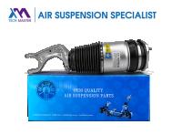China 1027361-00-G for Tesla Model X Air Suspension Shock Absorber, Front Left & Front Right for sale