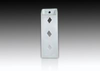 China EAS Anti-Shoplifting Safer Box for Perfume Razor Kit 357.5mm Clear Security Display Case for sale