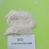 China Purity 99% Cosmetic Material SOD Superoxide Dismutase White Powder for sale