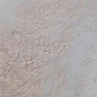 China Food Grade SOD2 Mn/Fe Antioxidant Superoxide Dismutase Supplement 99% Purity for sale