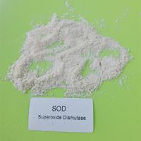 China Skin Protection 99% SOD Superoxide Dismutase Anti Aging for sale