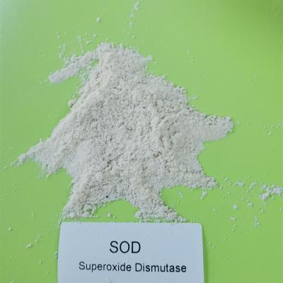 China SOD Antioxidant Superoxide Dismutase 99% 500000iu/g for sale