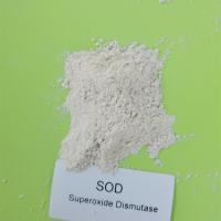 China Food Grade 50000iu/g Superoxide Dismutase In Skincare 9054-89-1 for sale