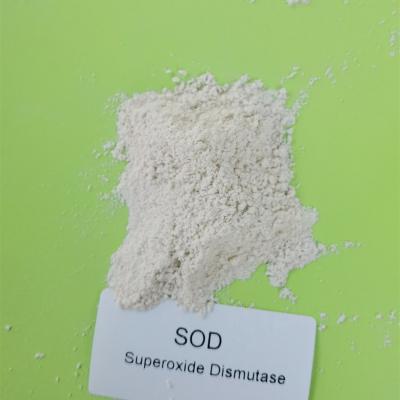 China Food Grade 50000iu/g Superoxide Dismutase In Skincare 9054-89-1 for sale