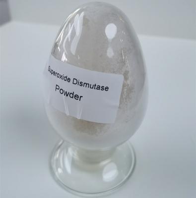 China White Superoxide Dismutase Powder SOD Anti Aging for sale