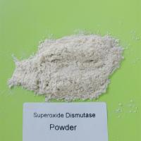 China White Superoxide Dismutase Powder SOD Anti Aging for sale