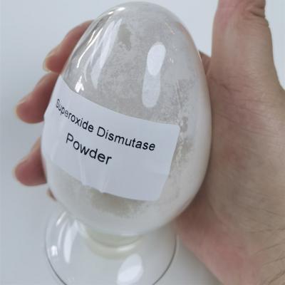 China Food Grade Raw Material Superoxide Dismutase Powder PH 4-11 for sale