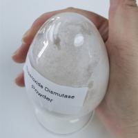 China Whitening Anti Wrinkle 50000iu/g Superoxide Dismutase Powder for sale