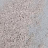 China 99% Superoxide Dismutase SOD In Food Natural Antioxidant for sale
