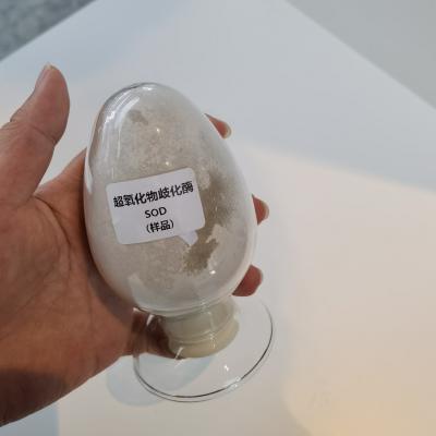 China CAS 9054-89-1 500000iu/g Modified SOD Superoxide Dismutase for sale