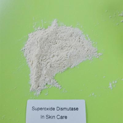 China Skin Care Raw Material Superoxide Dismutase In Cosmetics 50000IU/g for sale