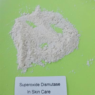 China 500000iu/g Superoxide Dismutase Skincare Raw Material for sale