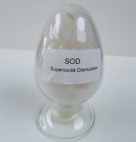China Assay 50000iu/g Food Production License SOD Superoxide Dismutase Powder for sale