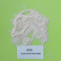 China Assay 50000iu/g Food Production License SOD Superoxide Dismutase Powder for sale