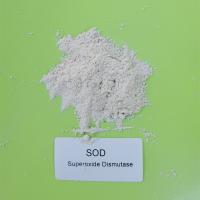China Microbial Fermentation 50000iu/g Food Grade Superoxide Dismutase SOD for sale