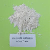 China Enzyme Activity 50000iu/g Microbial Extraction Superoxide Dismutase for sale