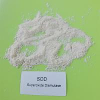 China Purity 99% Microbial Extraction Superoxide Dismutase In Cosmetics CAS 9054-89-1 for sale