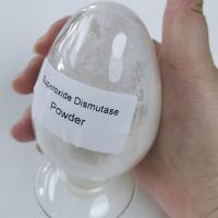 China 100% SOD Superoxide Dismutase Powder 500000iu/g For Health Care for sale
