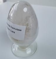 China Microbial Fermentation Cellular Protection SOD Superoxide Dismutase In Cosmetics for sale