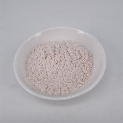 China Anti Aging Microbial Fermentation Purity 99% Superoxide Dismutase Skin Care for sale