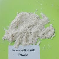 China Anti Aging Microbial Fermentation Purity 99% Superoxide Dismutase Skin Care for sale