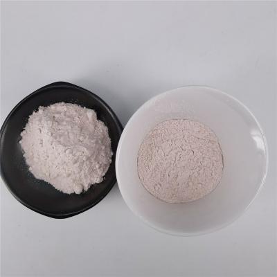 China Food Grade Antioxidant Superoxide Dismutase Supplement for sale